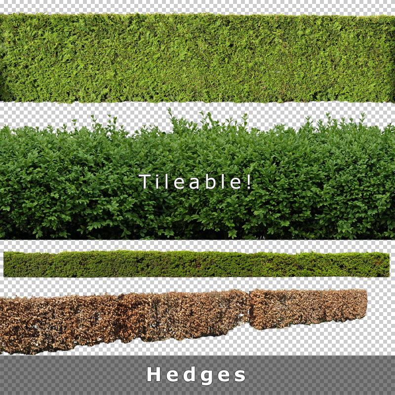 Cutout Plants V04 – Graphics for Landscape Architecture Visualization ...