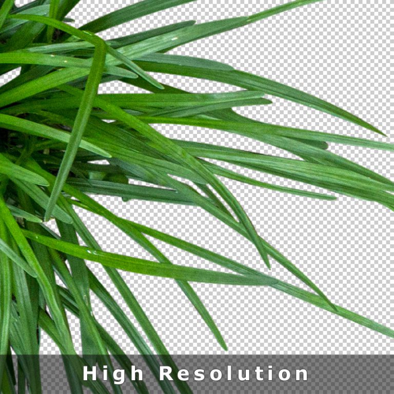 Top View Plants 02 – 2D Plant Entourage for Architecture Illustration .PNG