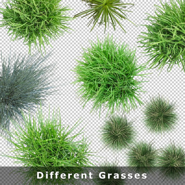 Plant Top View PNG Collection – Cutout Vegetation for (Landscape ...