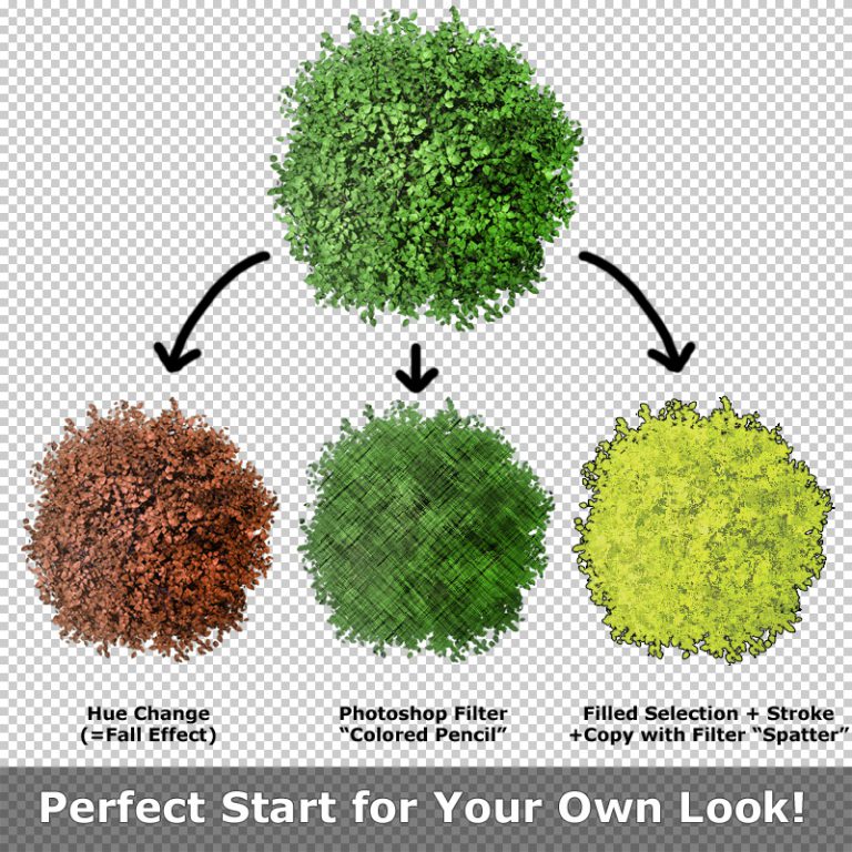 Graphic Collection of Cutout Plan View Trees for Architectural Site Plans