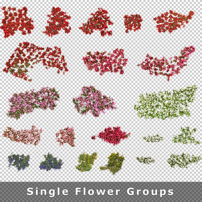 Cutout Flower Top View PNG Image Collection for Architects