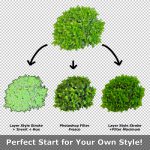 Top View Plants 02 – 2D Plant Entourage for Architecture Illustration .PNG
