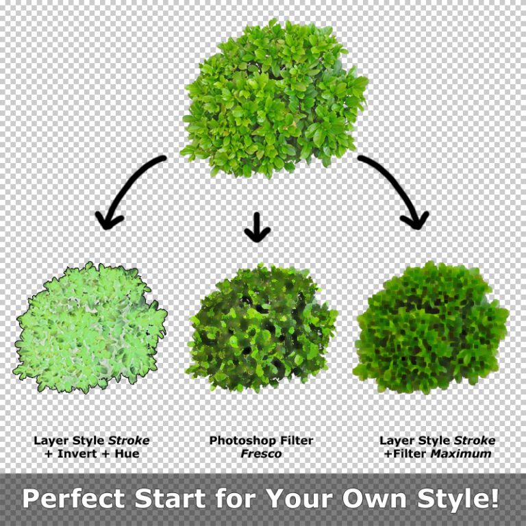 Top View Plants 02 – 2D Plant Entourage for Architecture Illustration .PNG