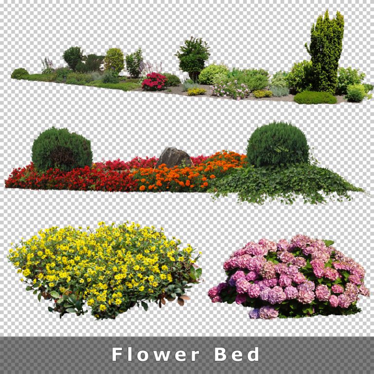 Cutout Plants V03 – Cutout Vegetation for Architecture Renderings