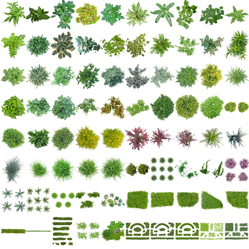 Plants Plan View