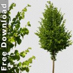 Download free architectural entourage for your next visualization project