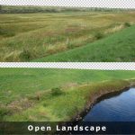 Ground Perspectives – Archviz Foreground Elements for 3D Renderings