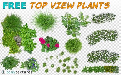 Freebie: Top View Plants